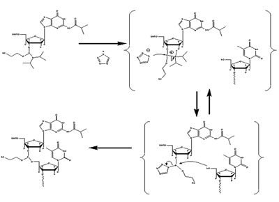 Custom Oligonucleotide Synthesis